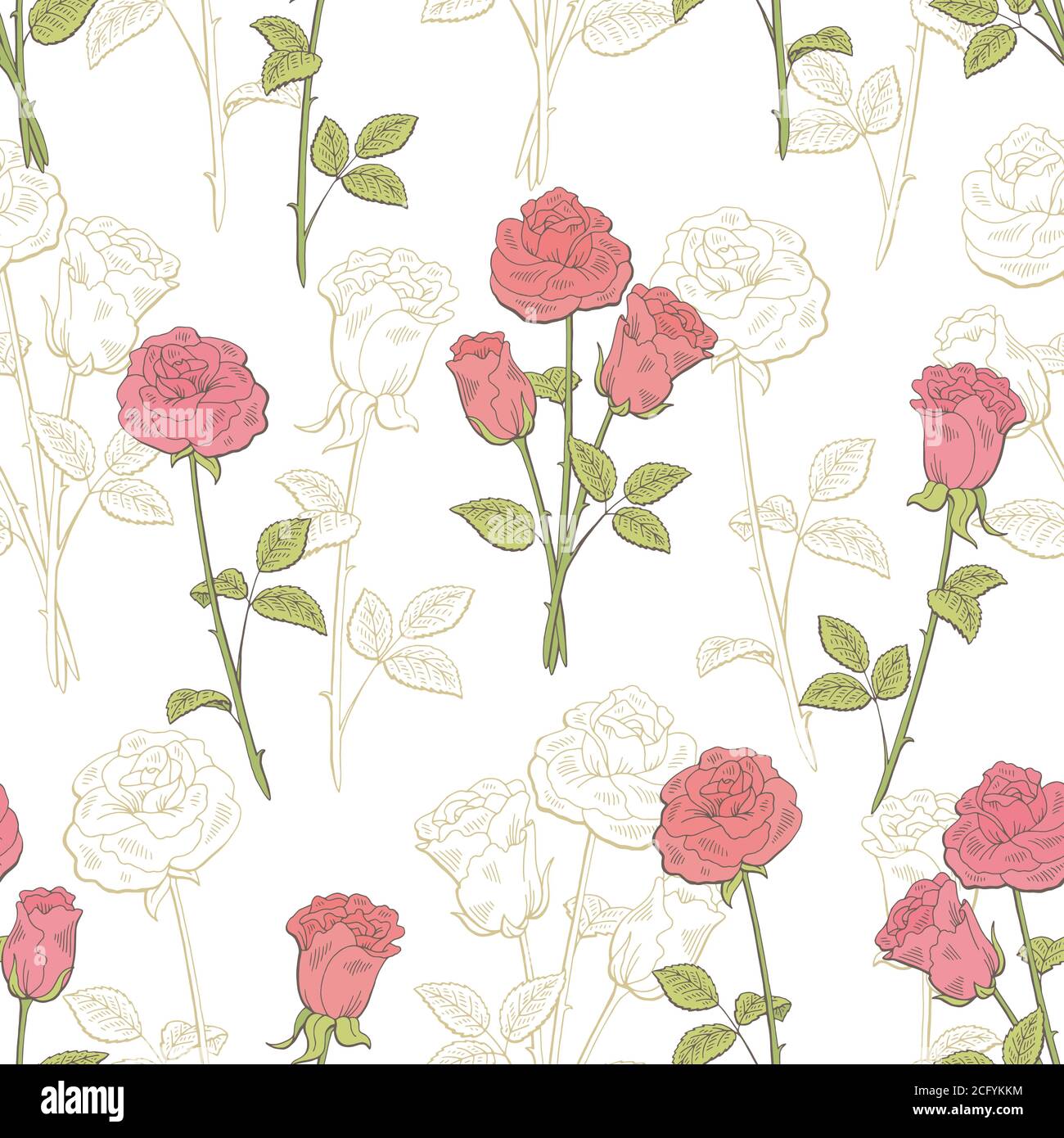 White rose illustration hi-res stock photography and images - Alamy