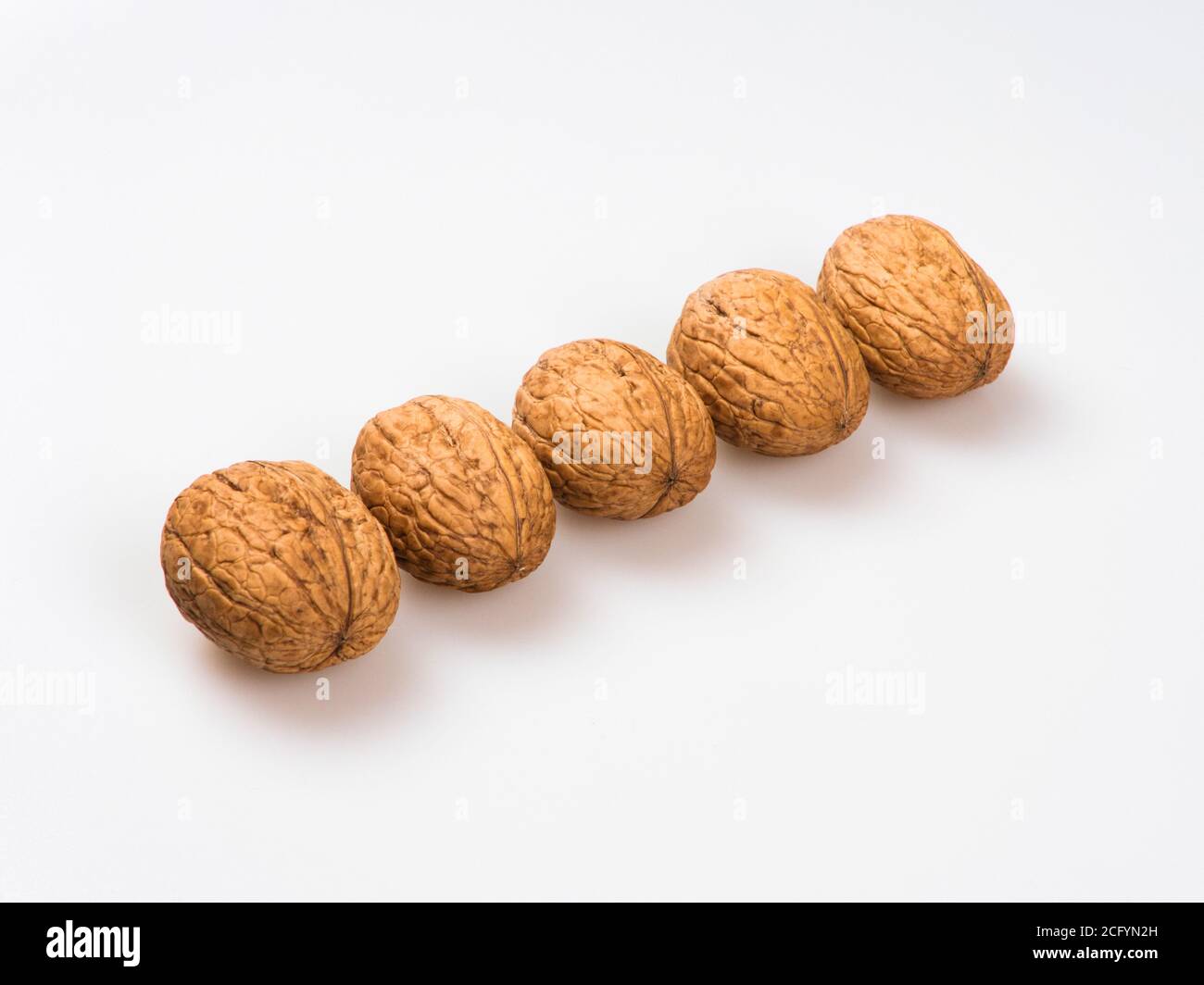 Five walnuts Juglans regia on a white background lie in a row ...