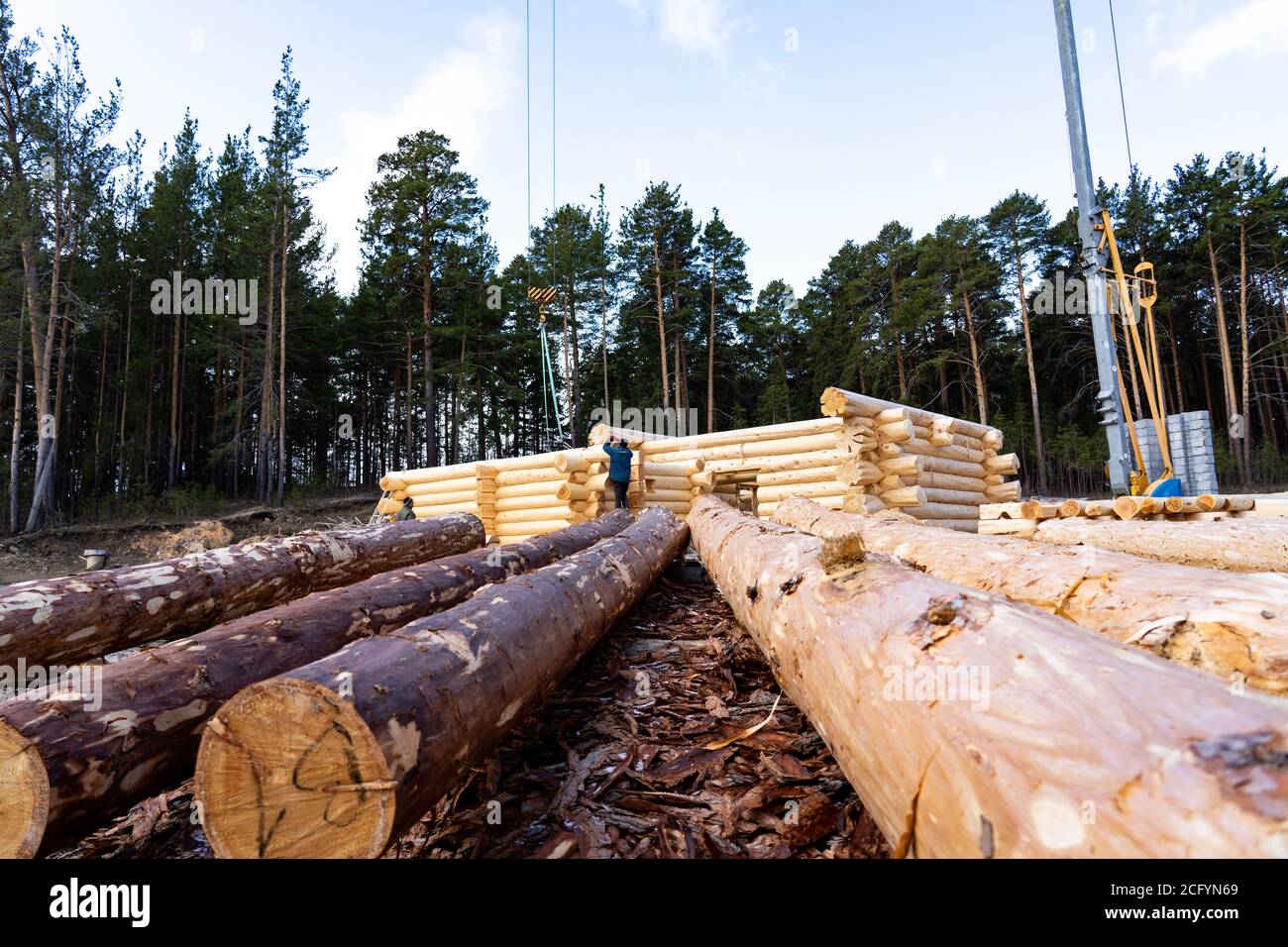 Build a house from logs. Preparation of logs for the assembly of the ...
