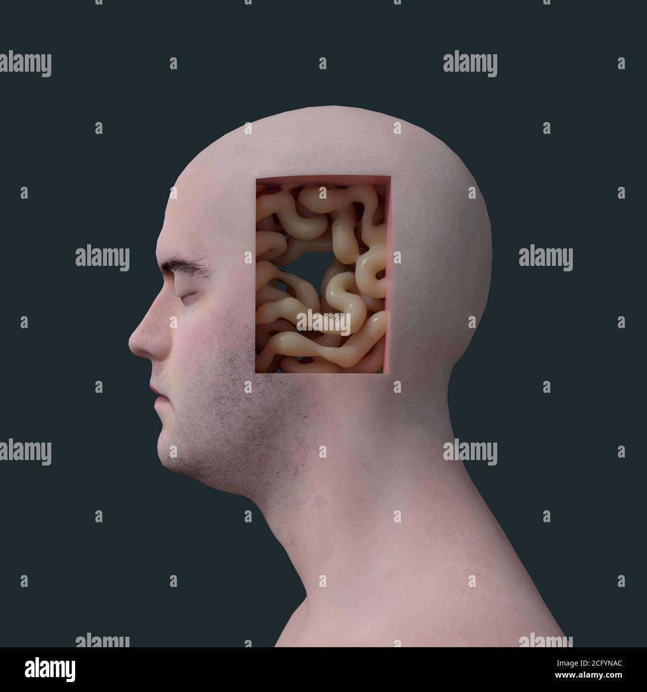 Human head profile thoughts artificial intelligence hi-res stock ...