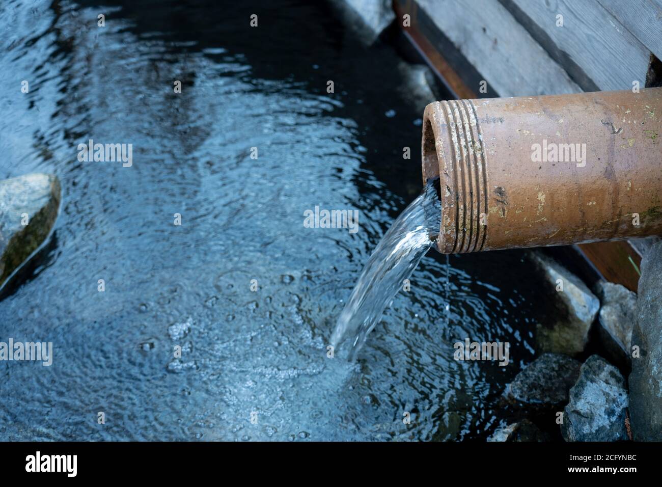 Groundwater ecosystem hi-res stock photography and images - Alamy