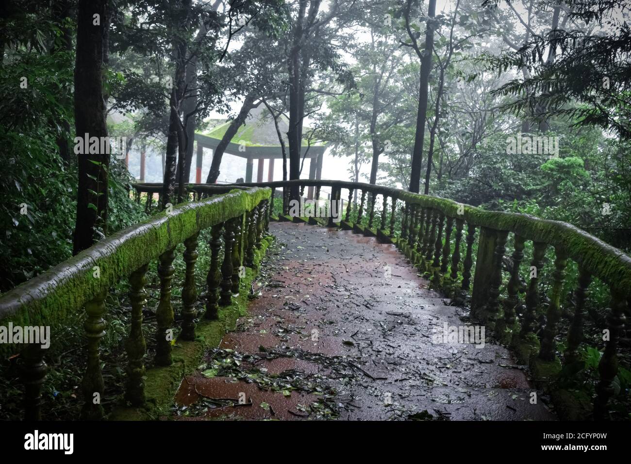 Beautiful Pathways To Heaven