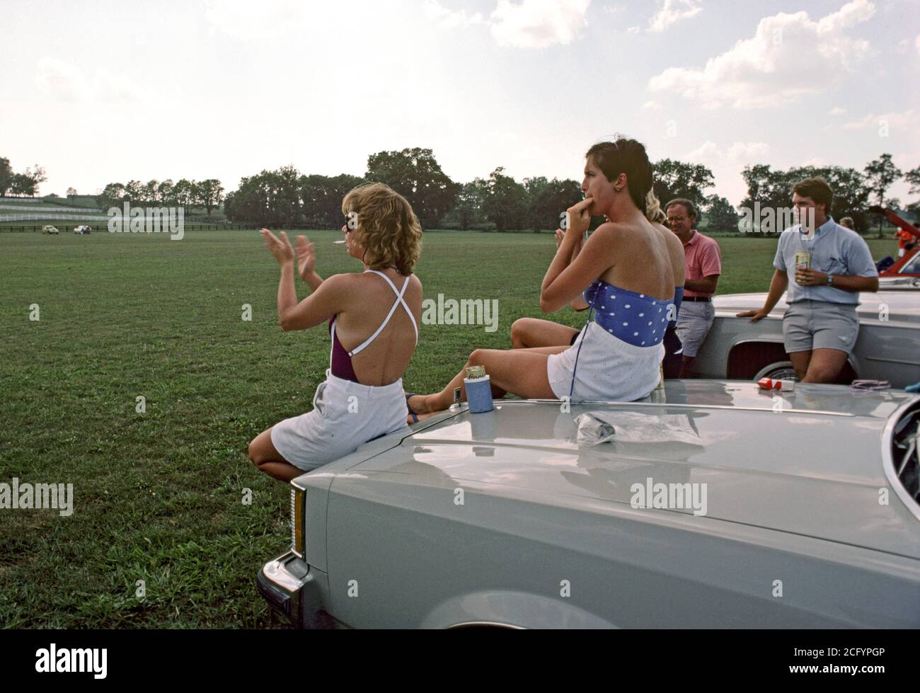 Polo match spectators hi-res stock photography and images - Alamy