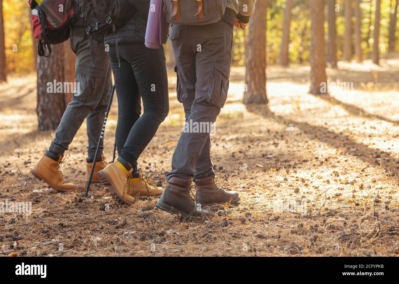 Back view of three backpackers walking by forest Stock Photo - Alamy