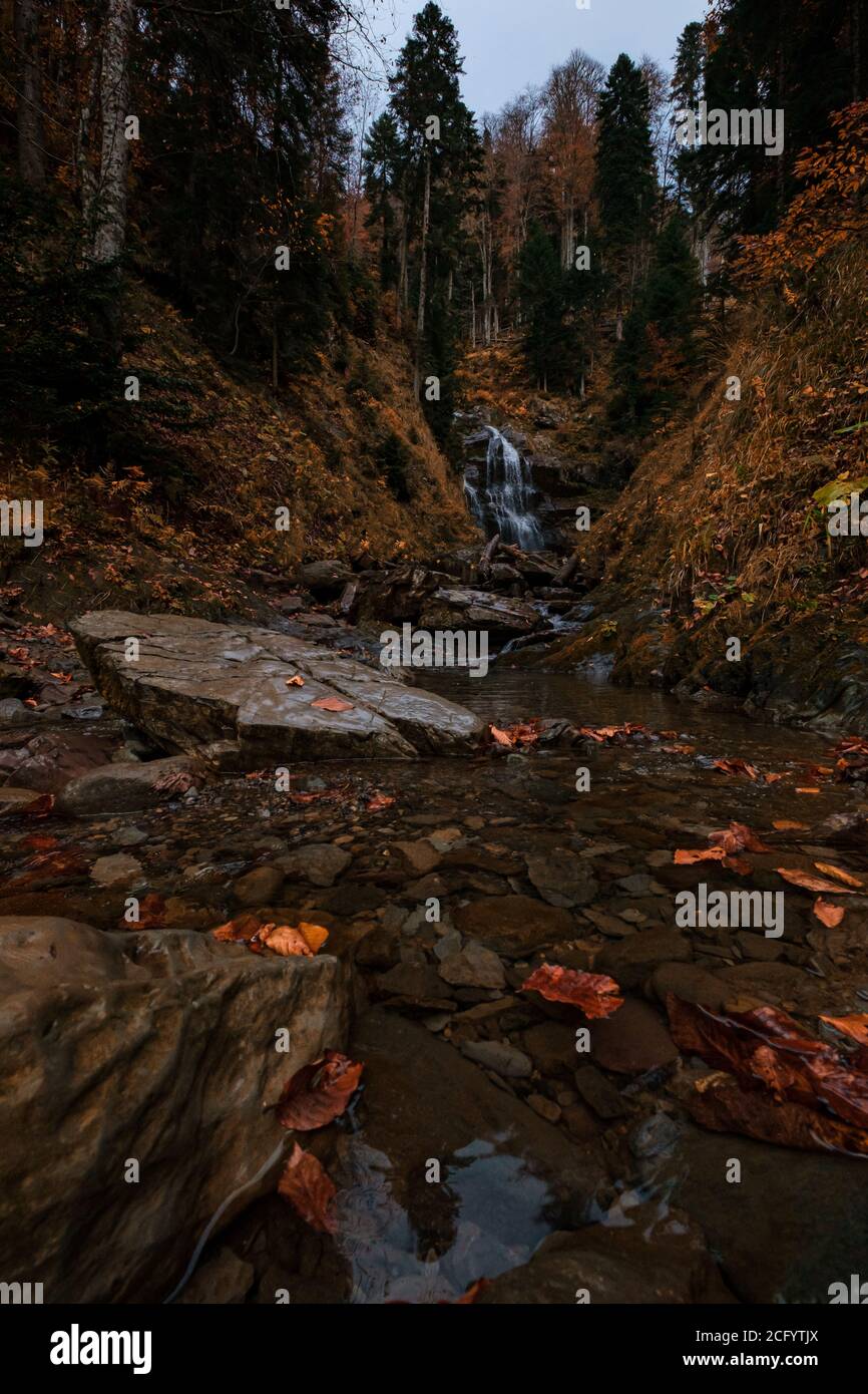 River deep in mountain forest. Nature composition. Mendelich River in ...