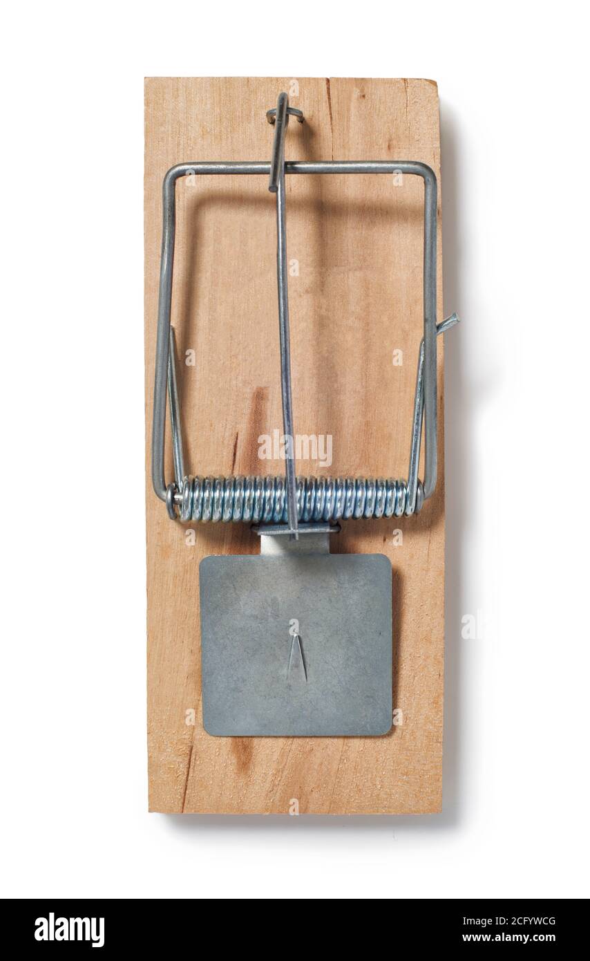 Overhead view of mouse trap isolated on white background Stock Photo ...