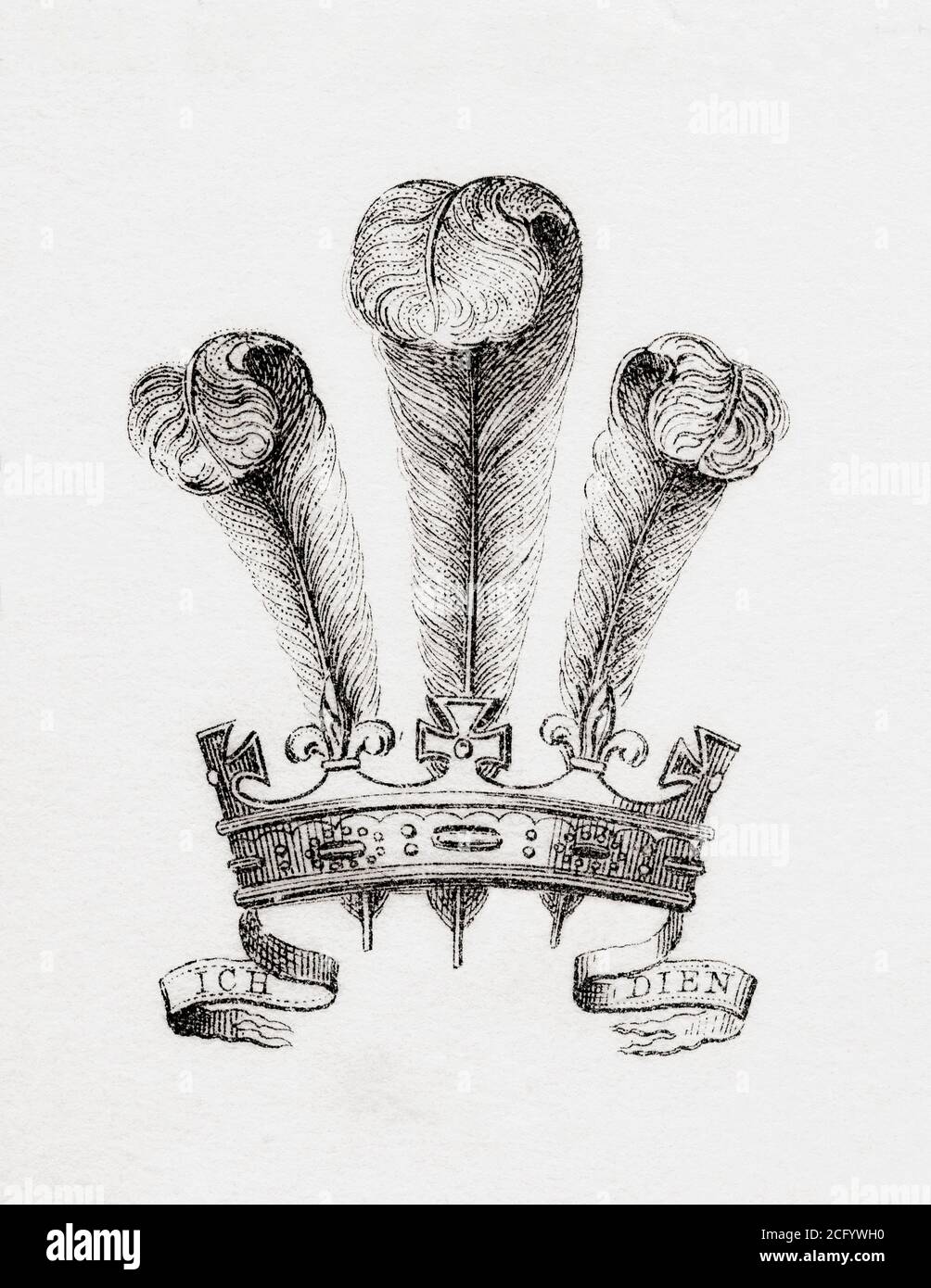 Heraldic Badge High Resolution Stock Photography and Images - Alamy