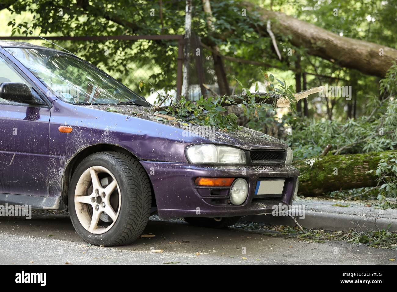 A tree fell on the car due to strong wind. Broken vehicle after the ...