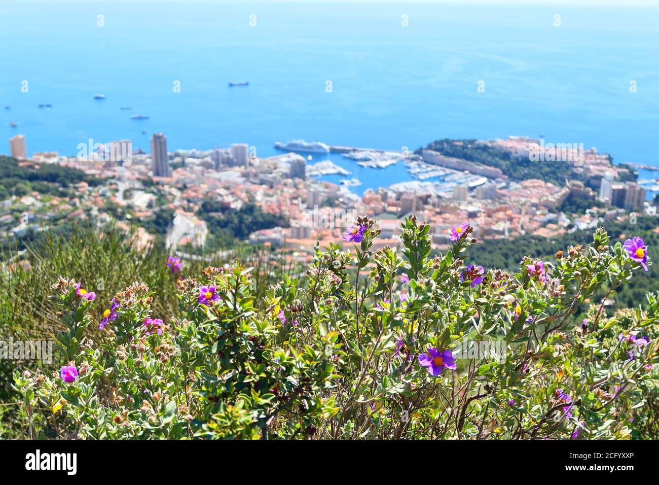 Monaco, view from the hill on Monte Carlo and port Stock Photo - Alamy