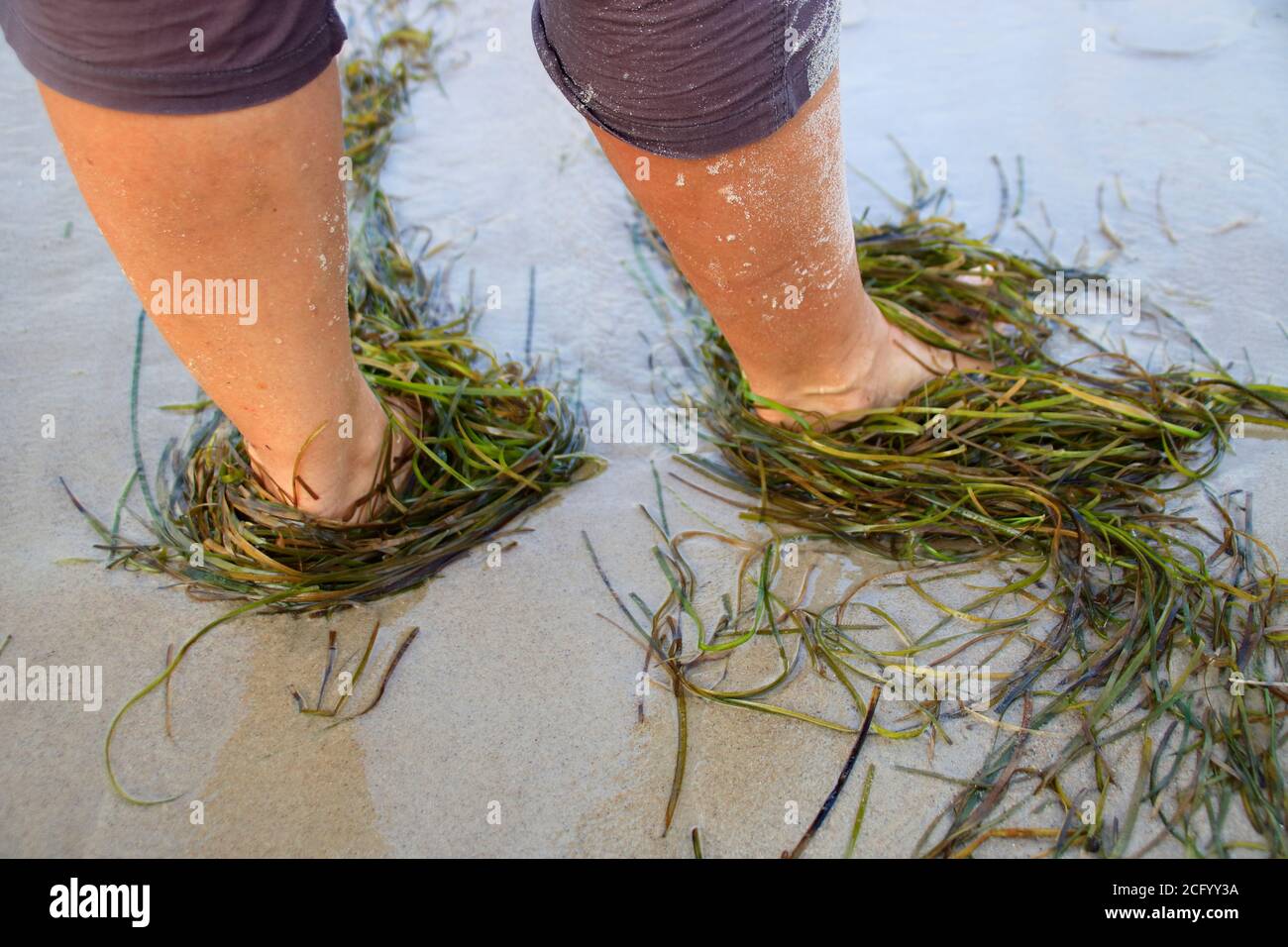 Water around sandy coast hi-res stock photography and images - Alamy