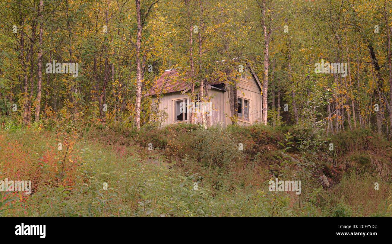 Old house in the woods hi-res stock photography and images - Alamy