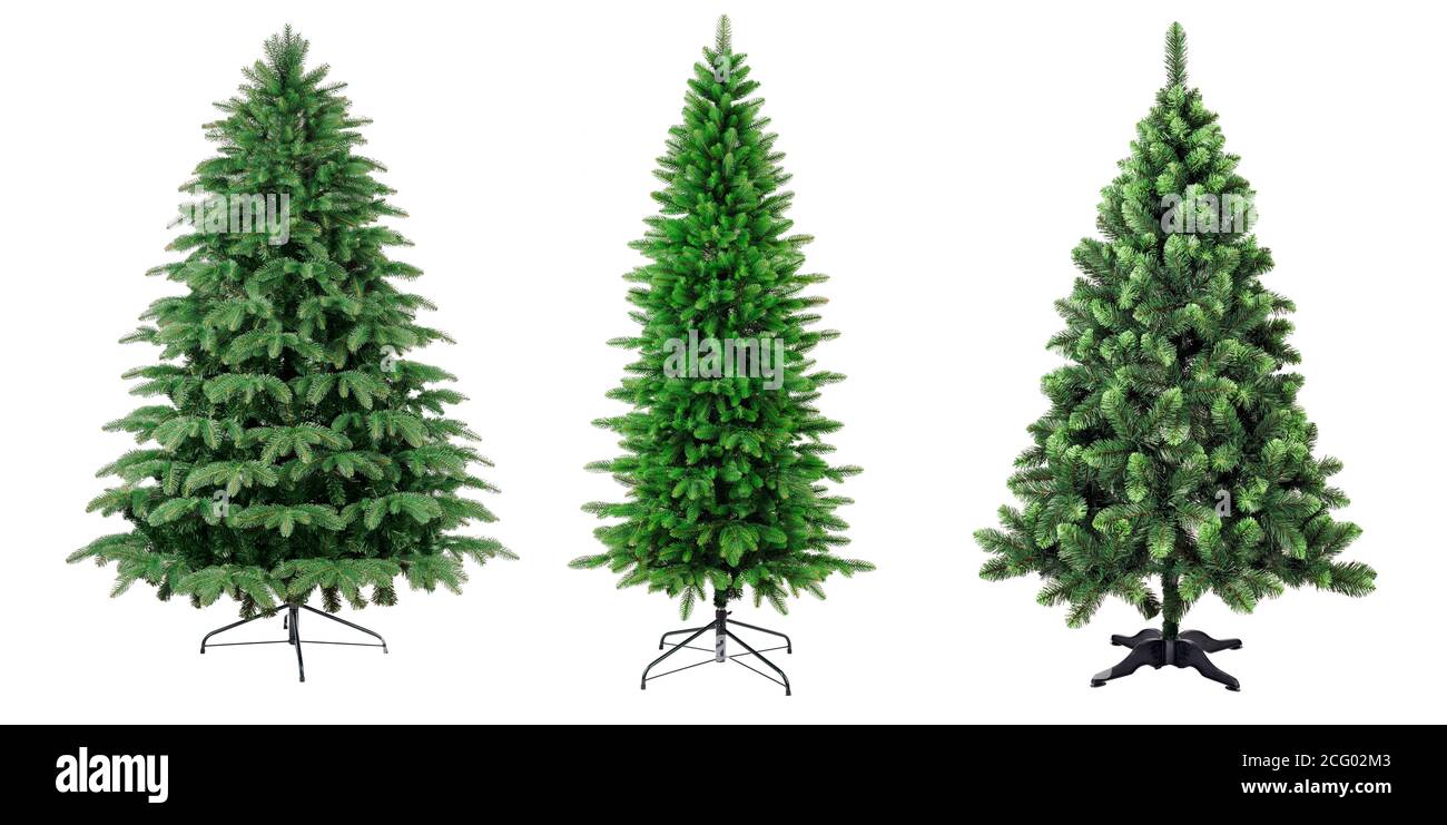 Set of three fir-trees (pine) without new year decor on white ...