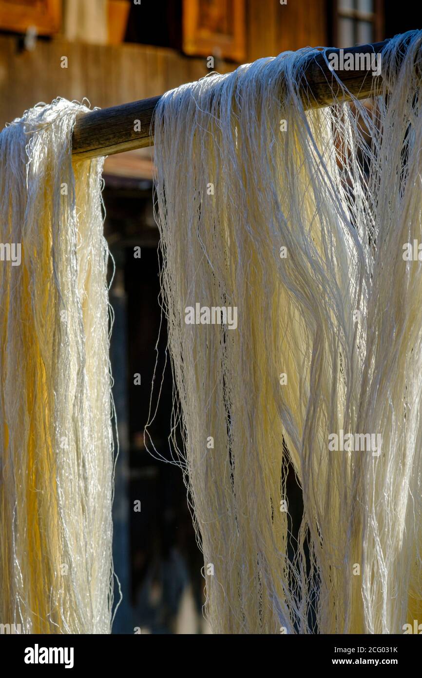 Myanmar (Burma), Shan state, Inle Lake, In Phaw Khone, lotus fiber ...