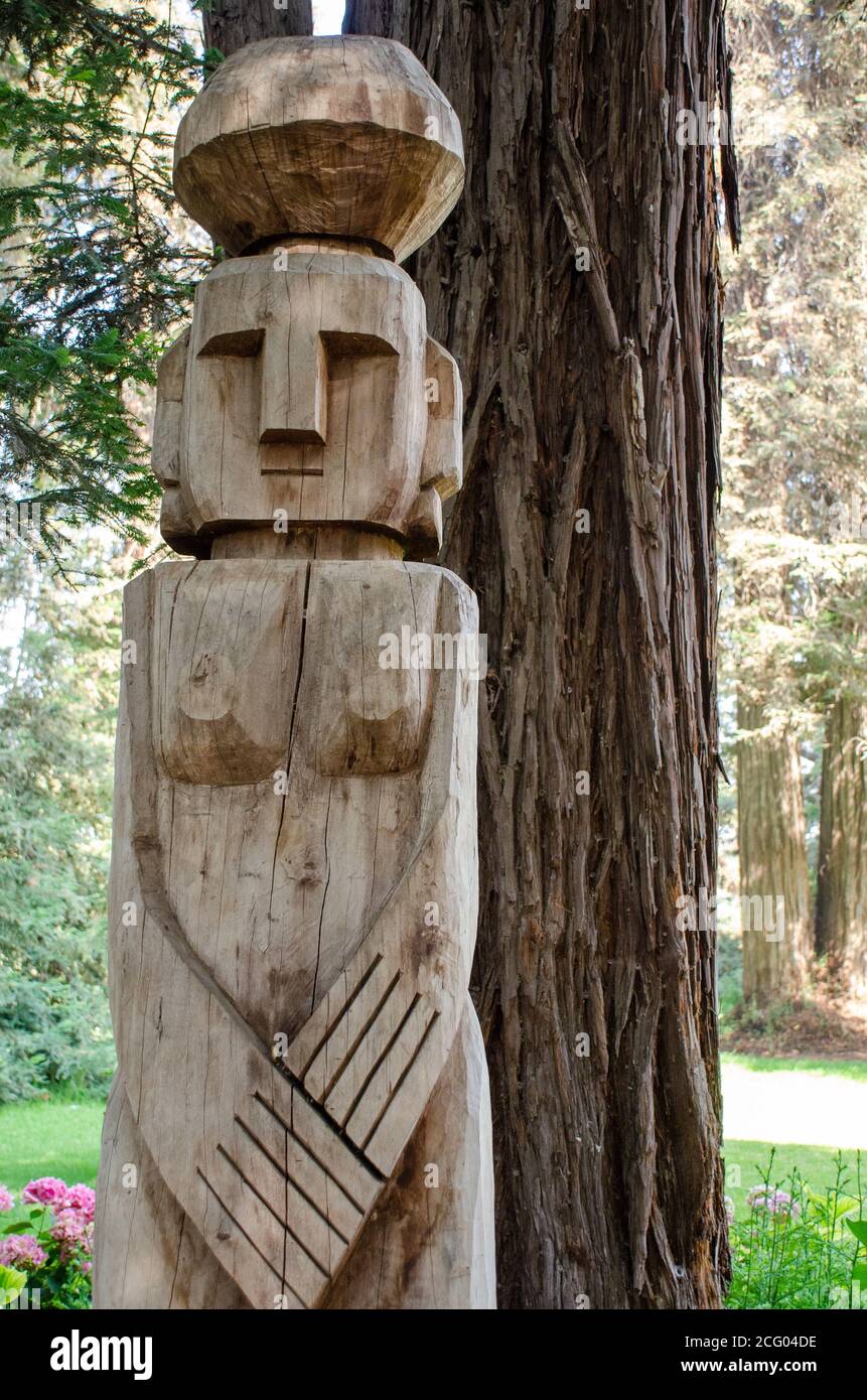 An indigenous mapuche hi-res stock photography and images - Alamy