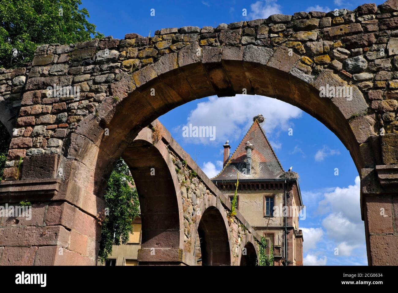 France, Haut Rhin, Munster, former Saint Gregoire abbey, arcades dated ...