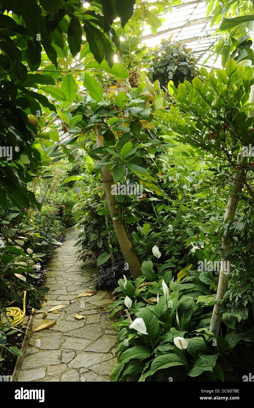 France, Paris, the new greenhouses of Auteuil The Jardin des Serres d ...