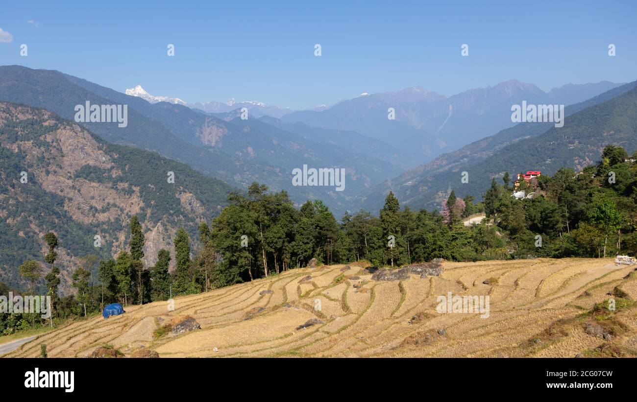 Terrace farming in india hi-res stock photography and images - Alamy