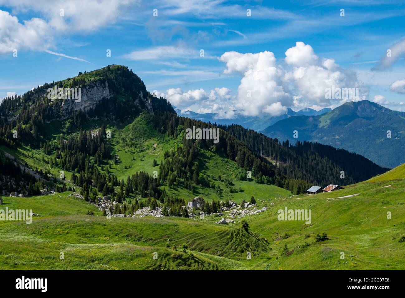 Gryon summer hi-res stock photography and images - Alamy