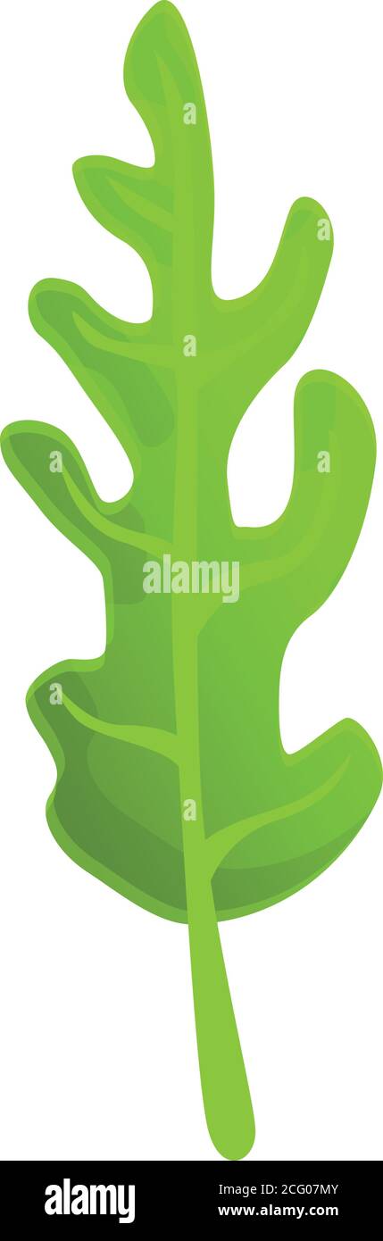 Healthy arugula icon. Cartoon of healthy arugula vector icon for web ...