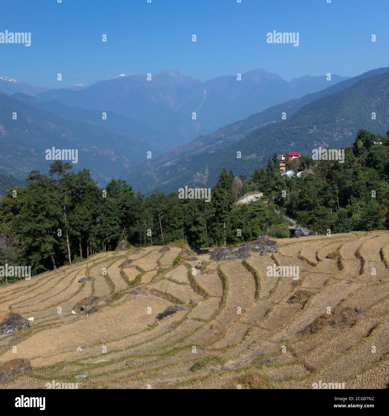Terrace farming hi-res stock photography and images - Alamy