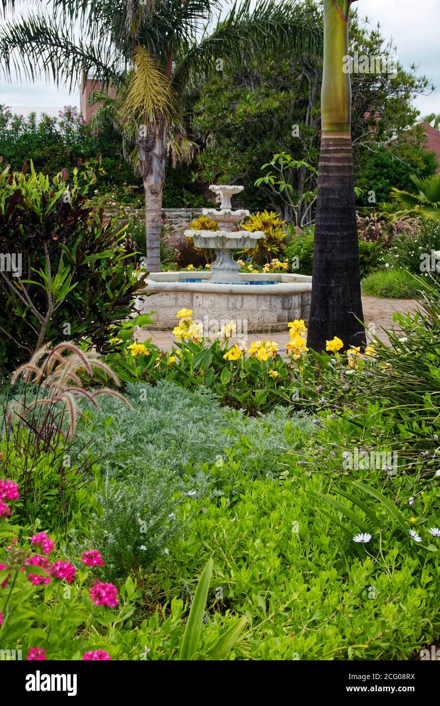 Bermuda flowers hi-res stock photography and images - Alamy