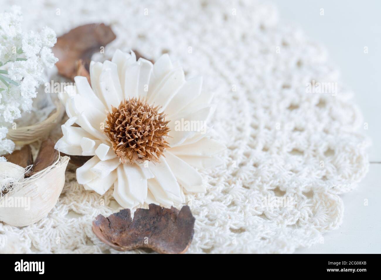 Dry flowers and lace background Stock Photo - Alamy