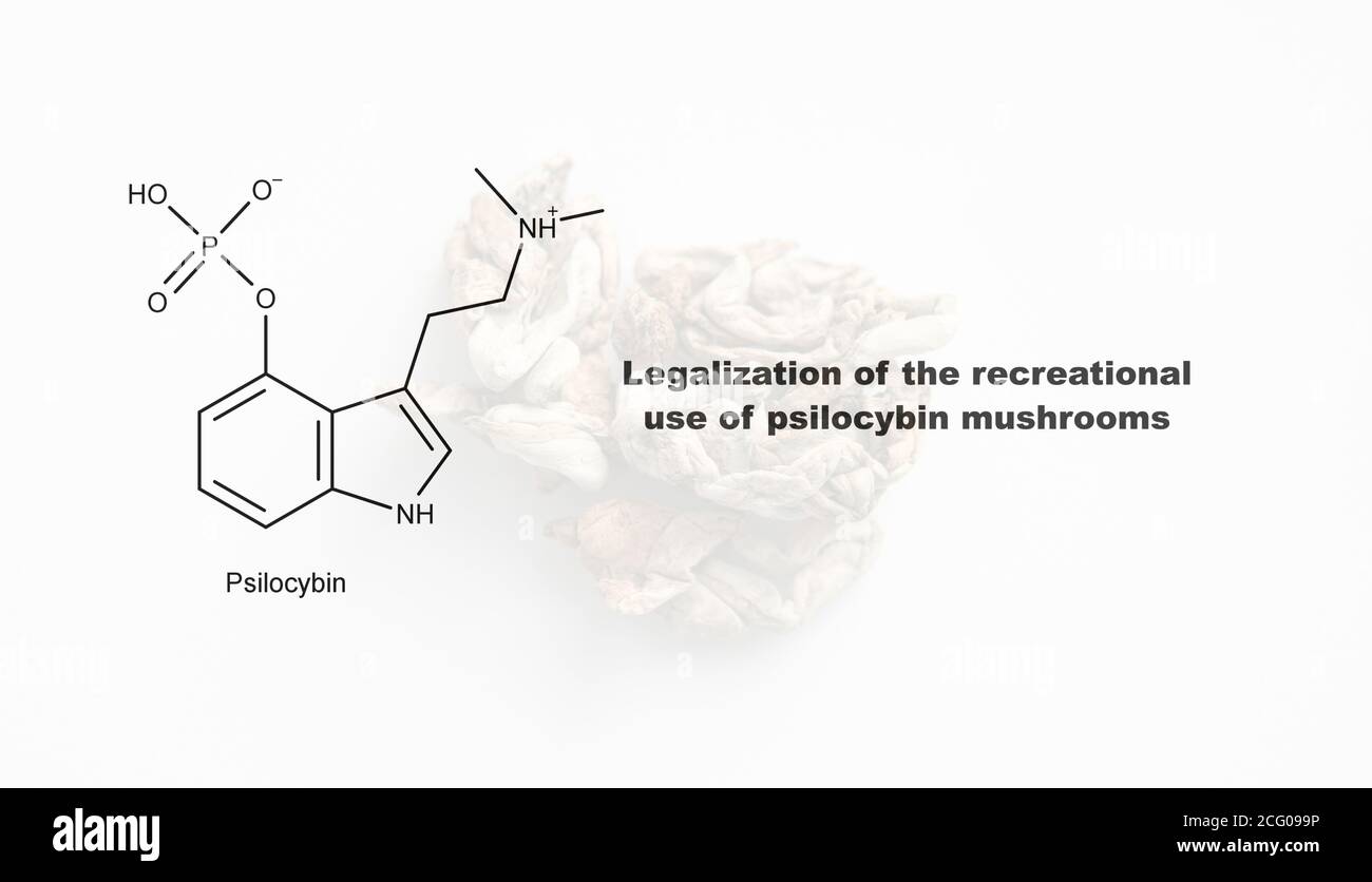 Legalization of the recreational use of psilocybin mushrooms ...