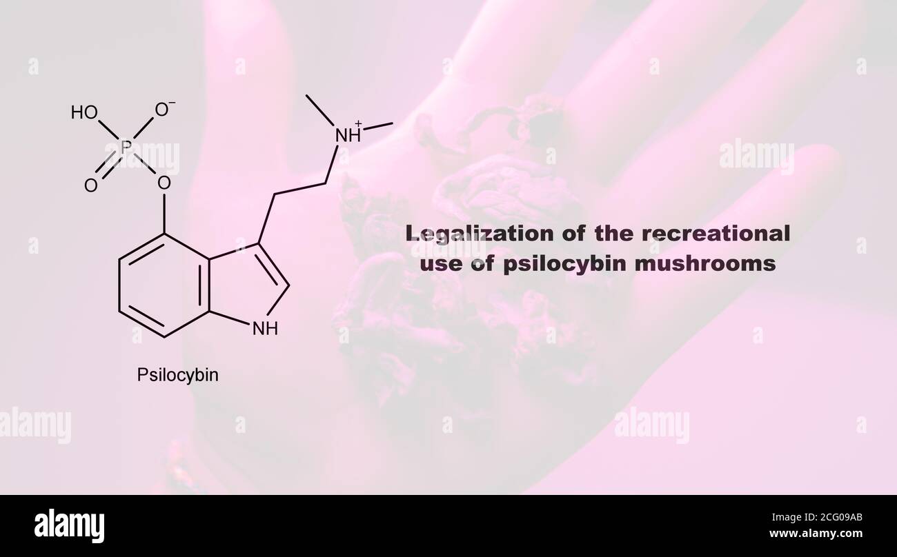 Legalization of the recreational use of psilocybin mushrooms ...