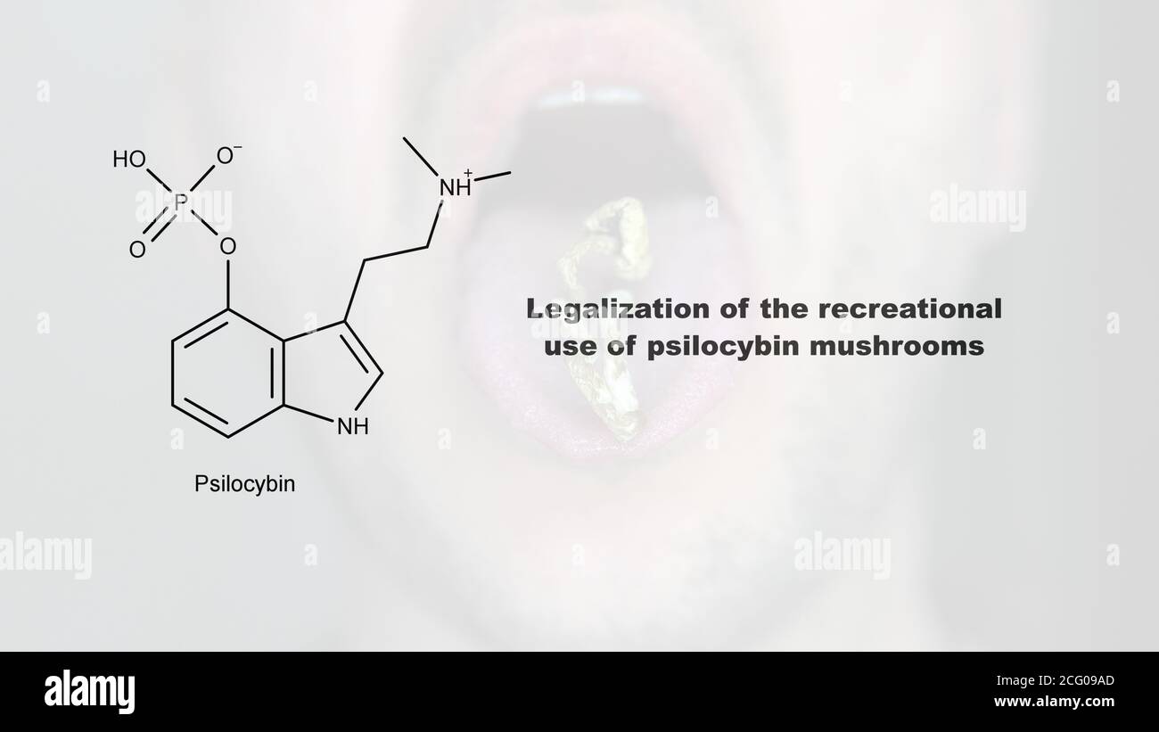 Legalization of the recreational use of psilocybin mushrooms ...