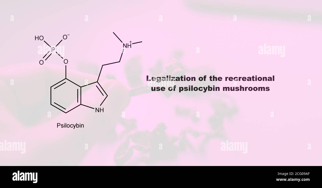 Legalization of the recreational use of psilocybin mushrooms ...