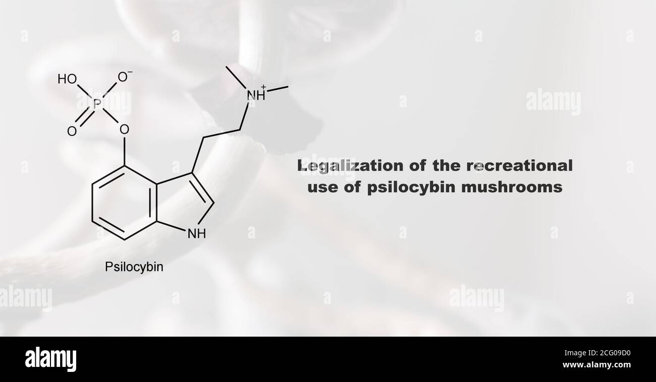 Legalization of the recreational use of psilocybin mushrooms ...