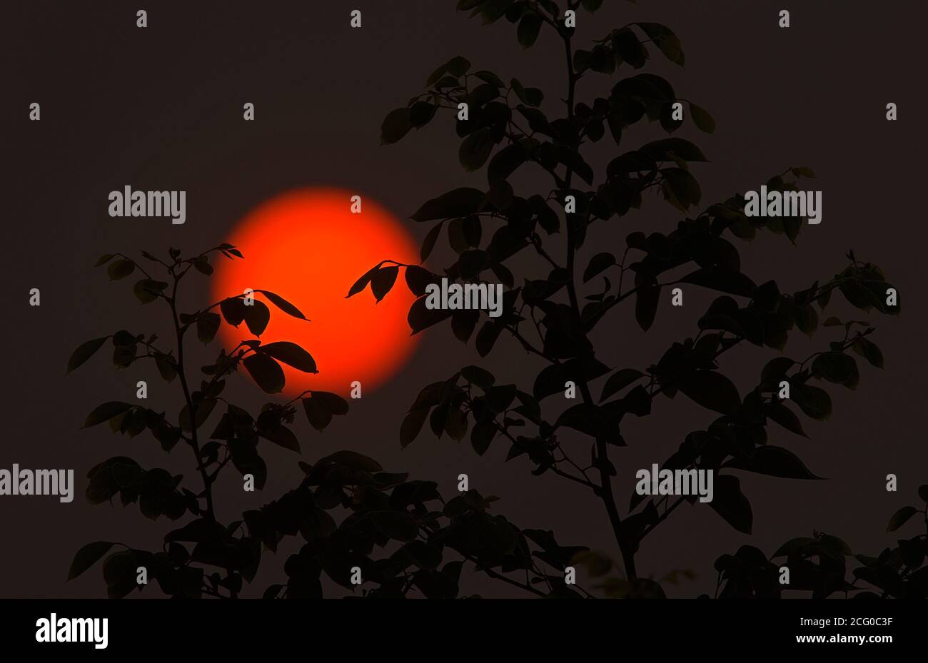 Sunrise with sun looking bright red through haze due to brush fire in ...