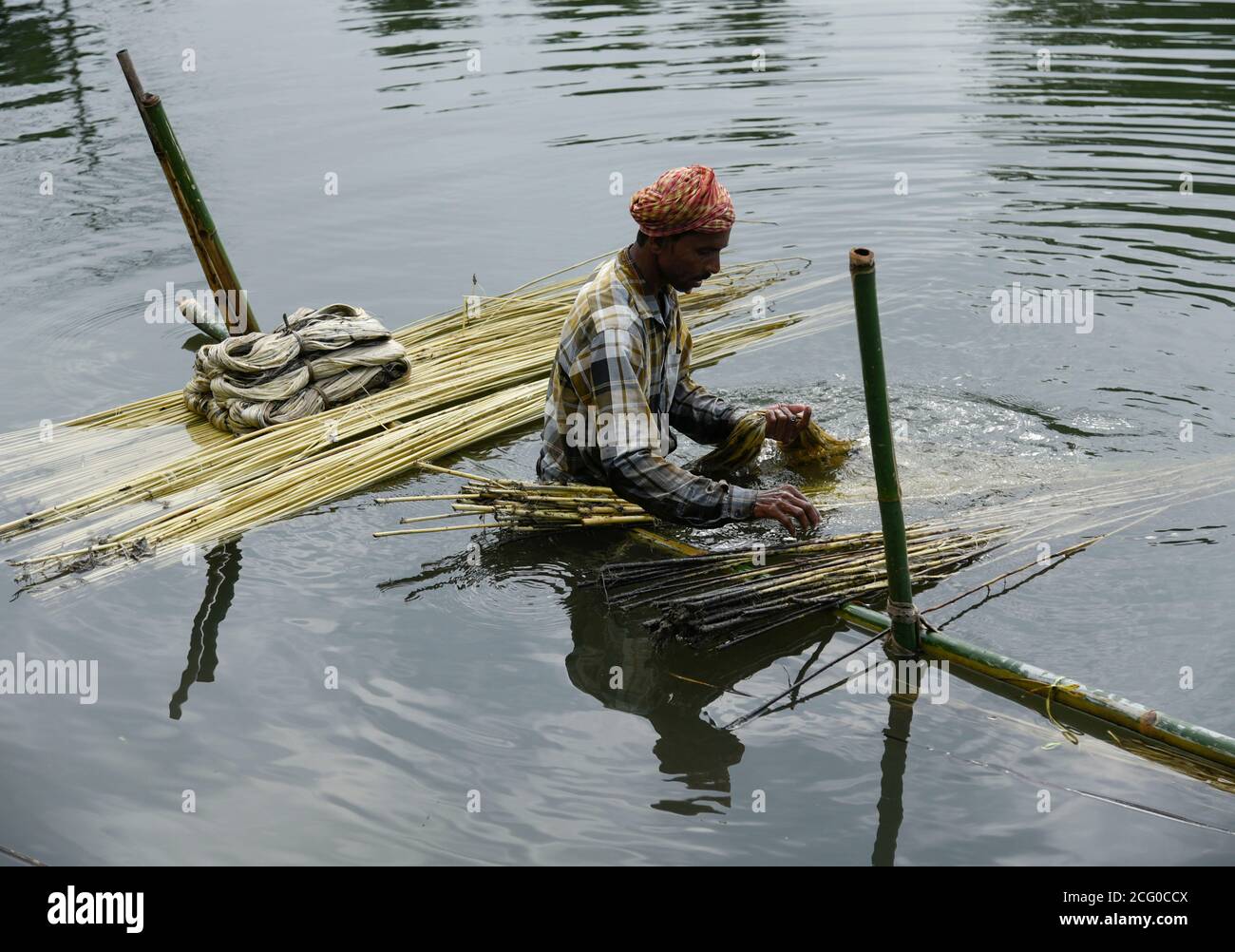 The indian jute trade hi-res stock photography and images - Alamy