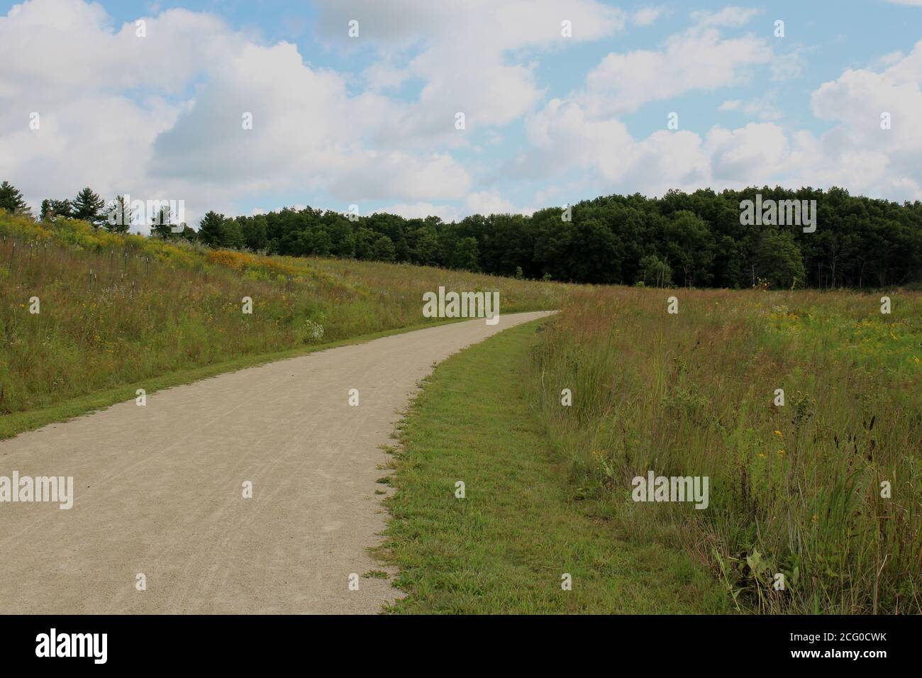 A gravel hiking trail through a wildflower prairie leading into a ...