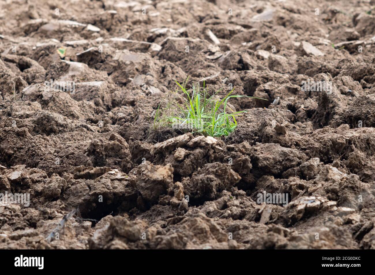 Fallowed field hi-res stock photography and images - Alamy