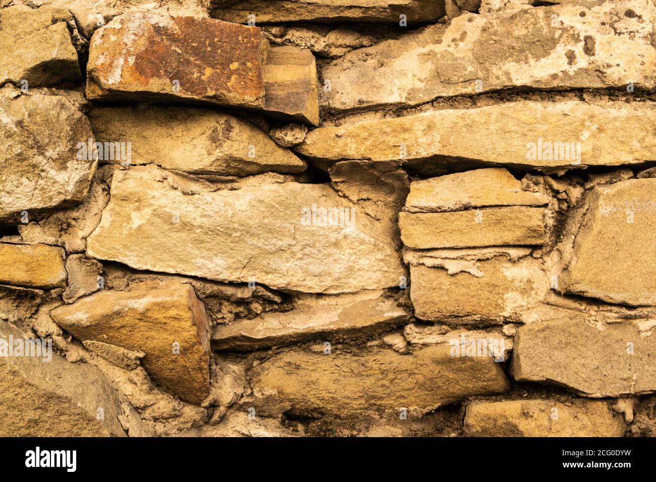 Art wonder and the natural world hi-res stock photography and images ...