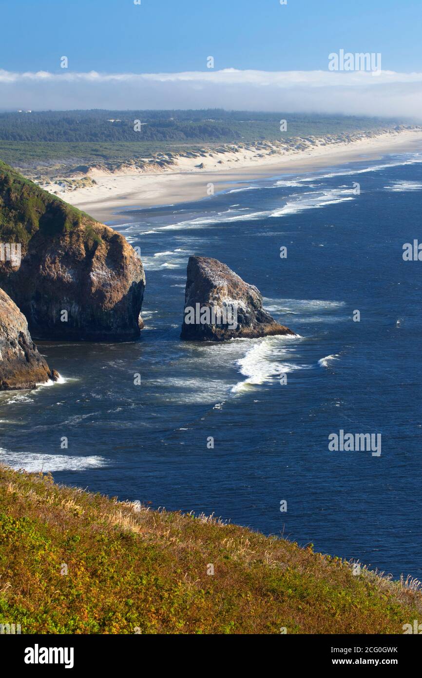 Oregon coast sea lion caves hi-res stock photography and images - Alamy