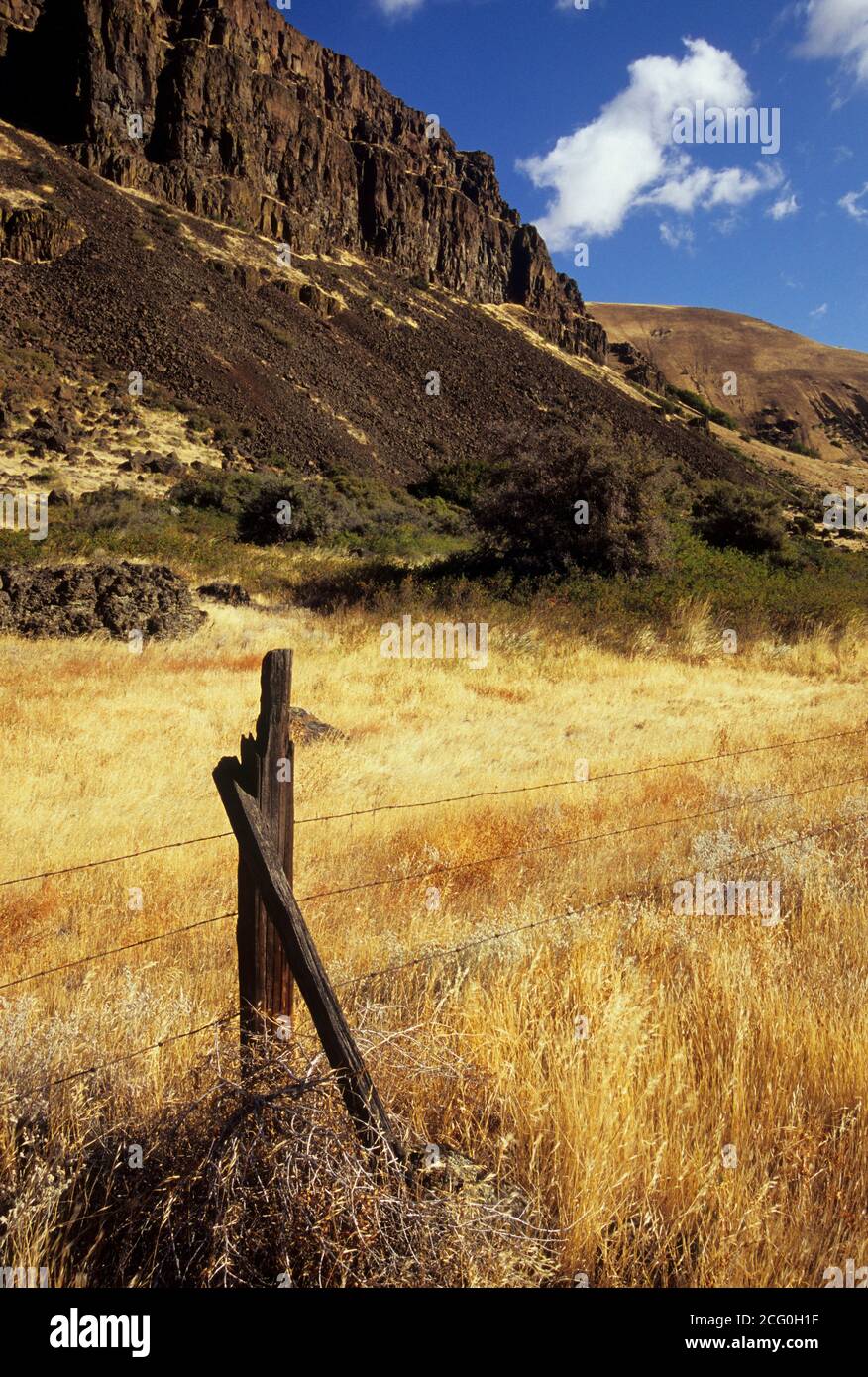 Arid cliffs, Columbia River Gorge National Scenic Area, Washington ...