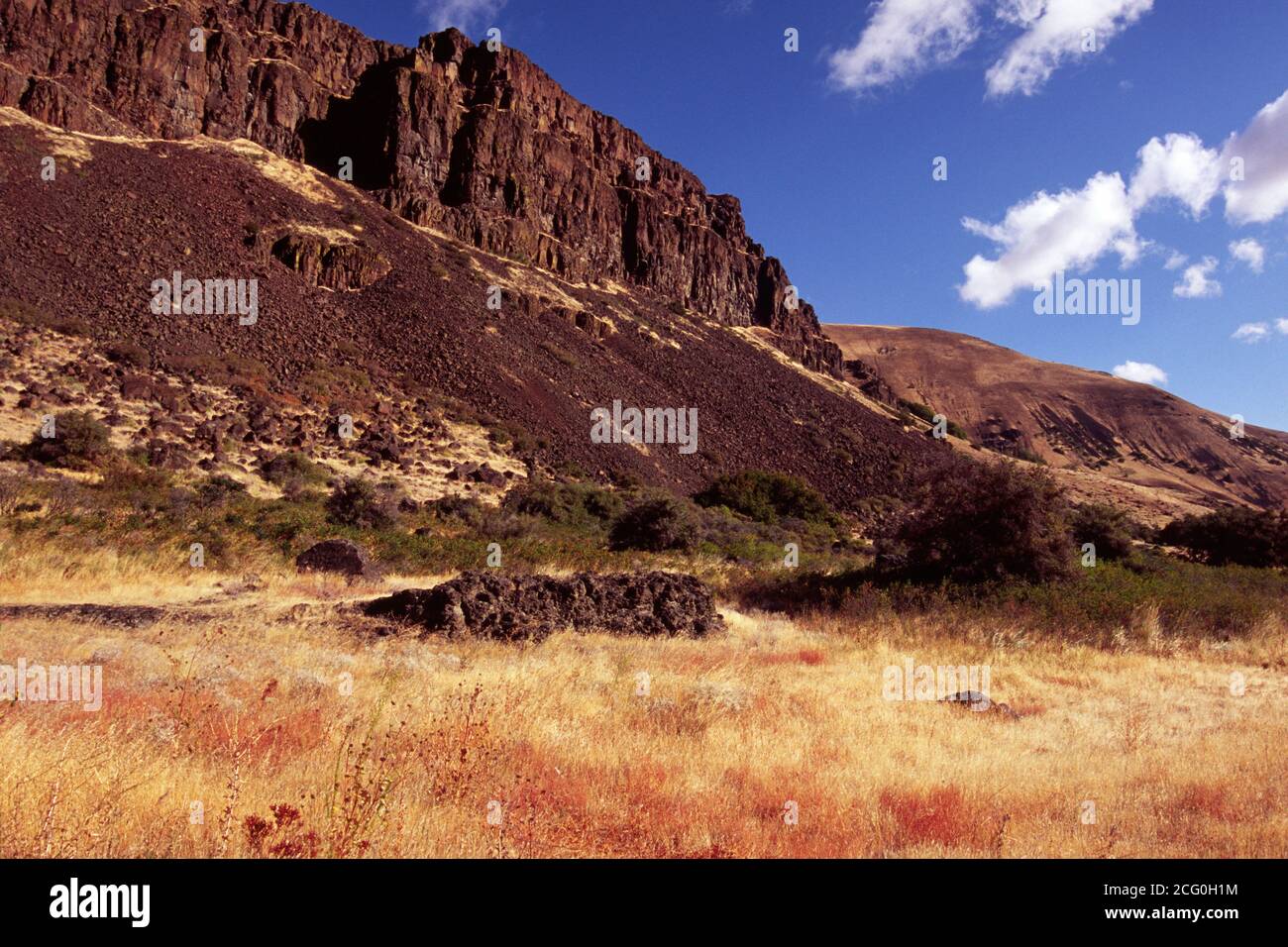 Arid cliffs, Columbia River Gorge National Scenic Area, Washington ...