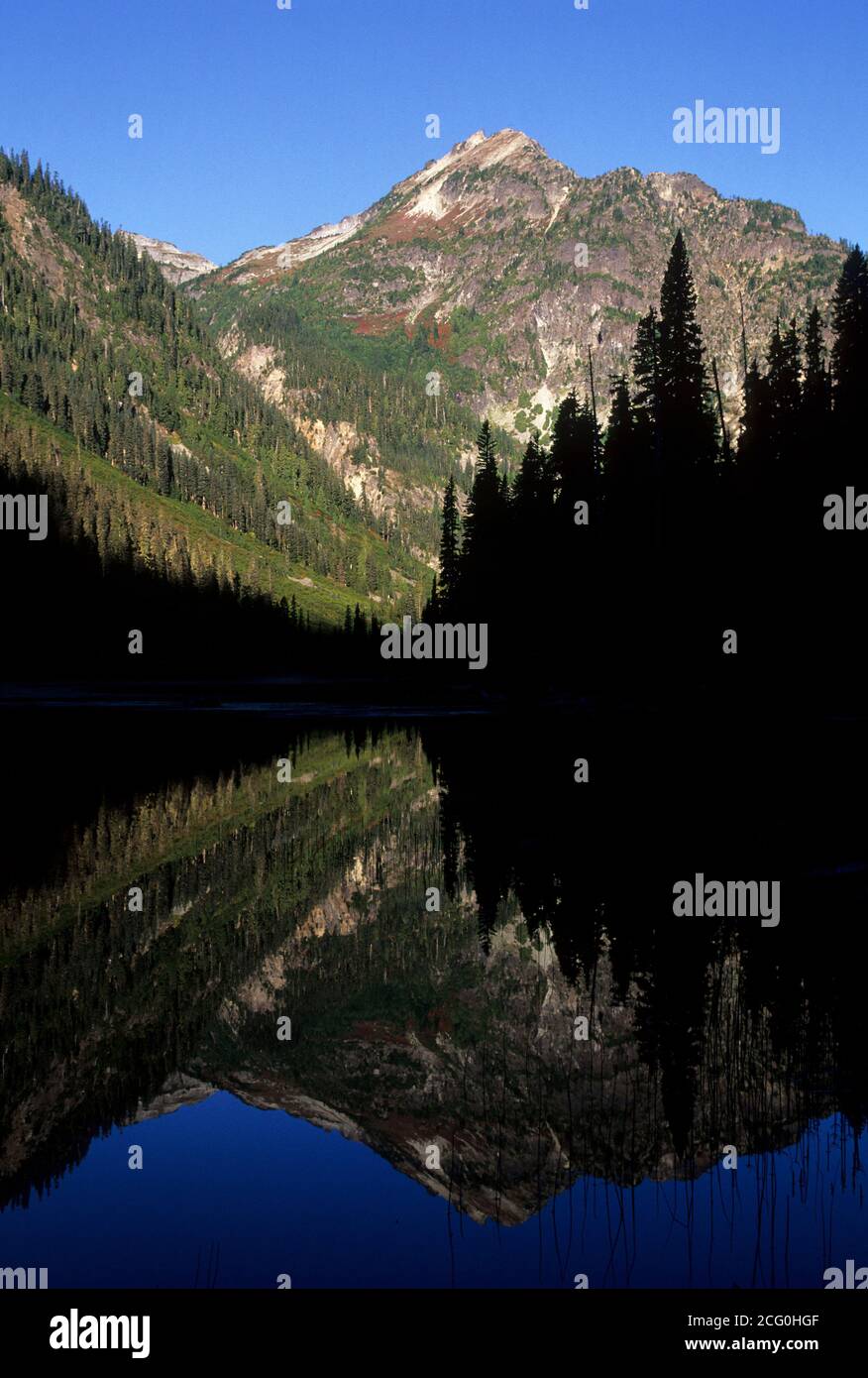 Hyas lake hi-res stock photography and images - Alamy