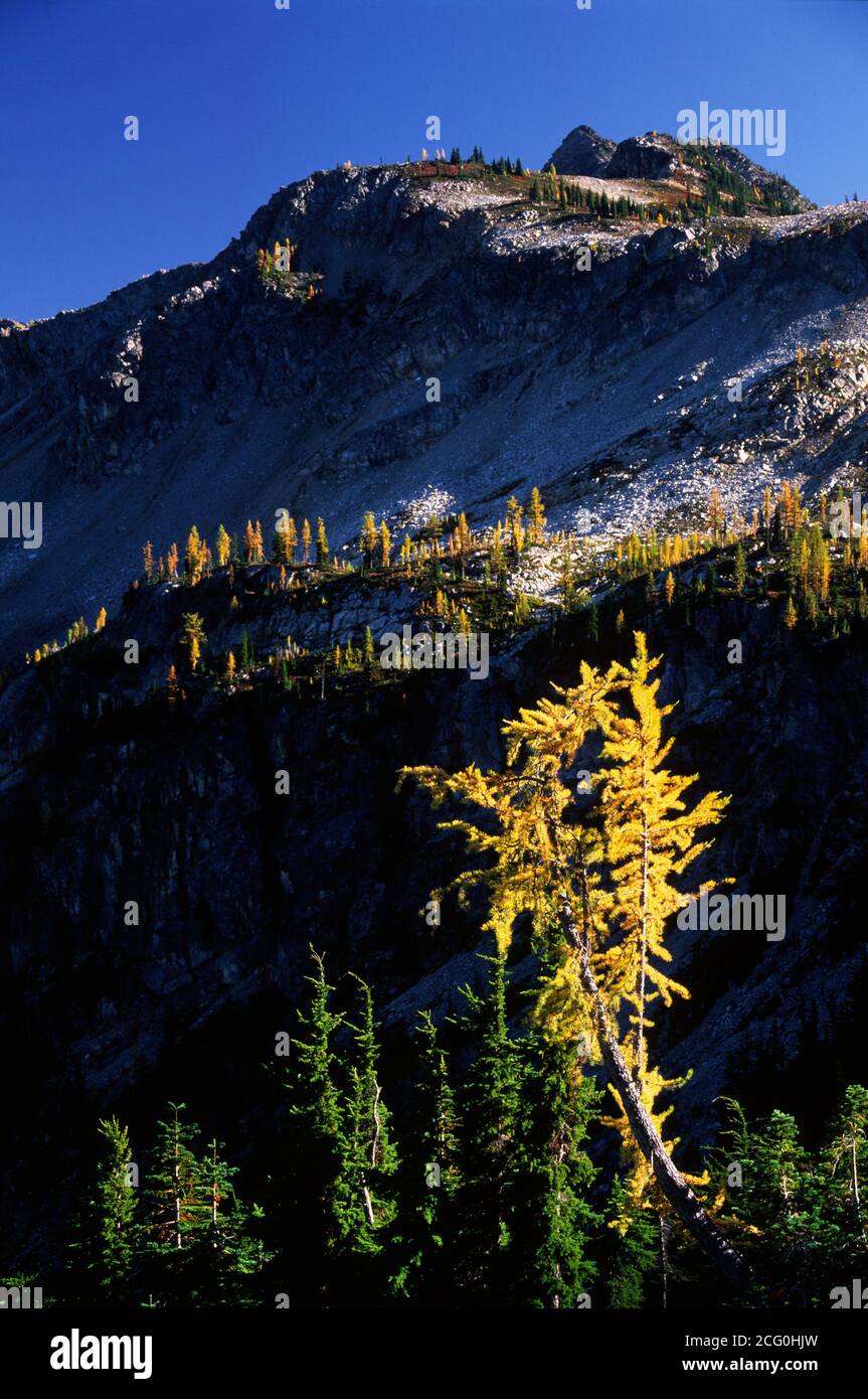 Maple pass loop trail hi-res stock photography and images - Alamy