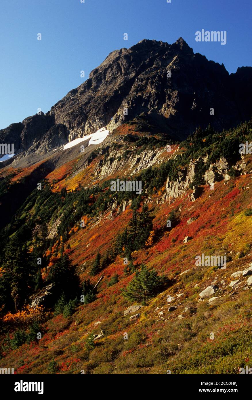 View from Cascade Pass, North Cascades National Park, Washington Stock ...