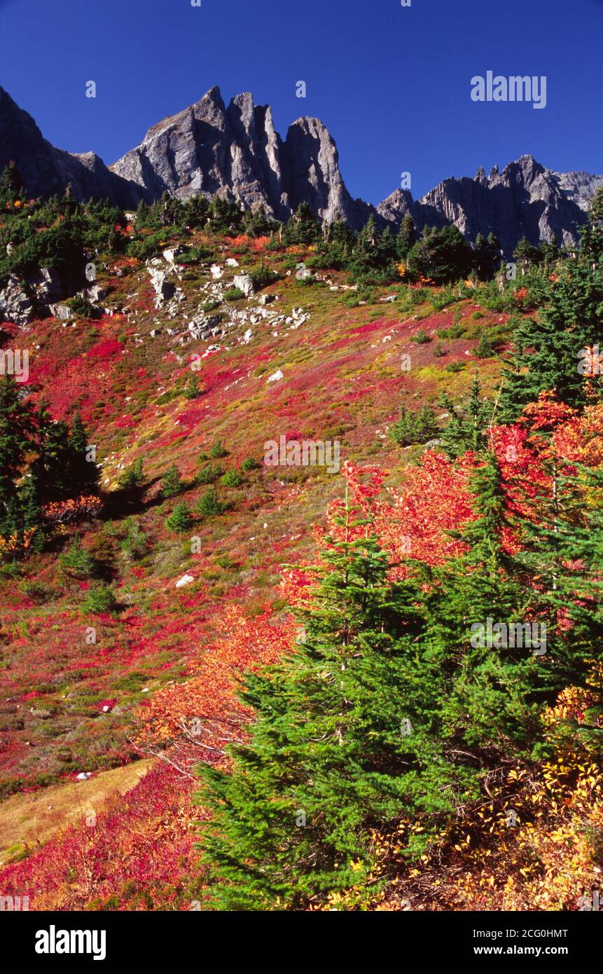 Cascade Pass, North Cascades National Park, Washington Stock Photo - Alamy