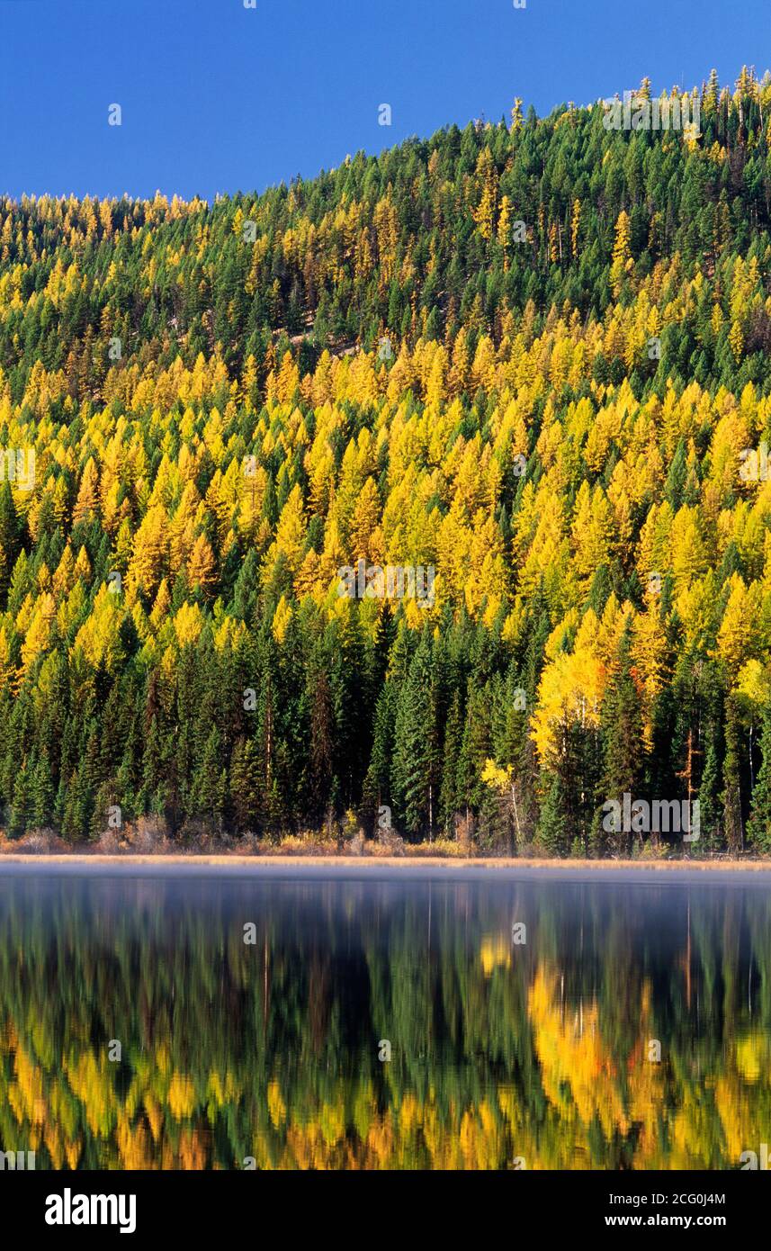 Lost Lake, Okanogan National Forest, Washington Stock Photo - Alamy