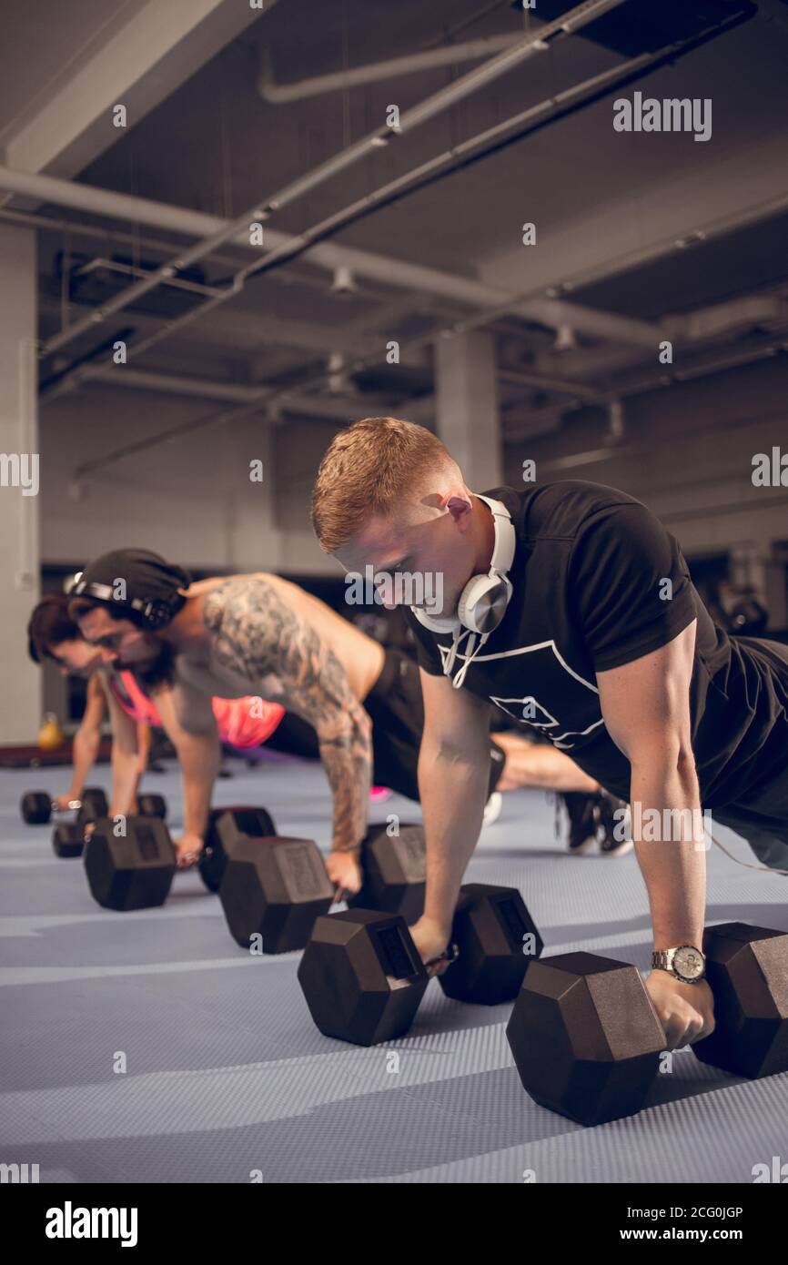 Group of adults performing push up on dumbbells exercise drills at ...