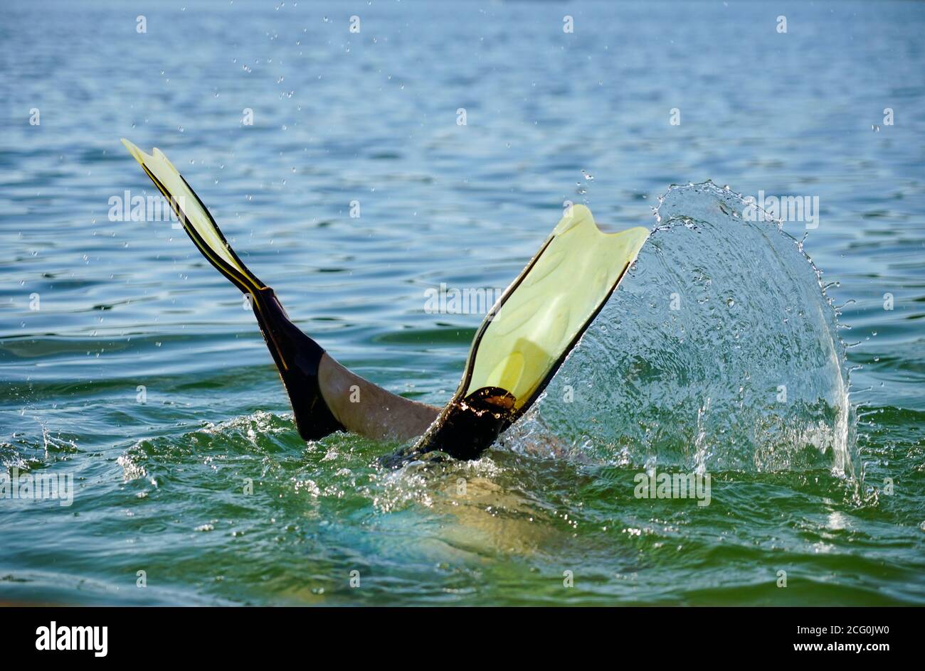 the diver's fins are raised above the water Stock Photo - Alamy