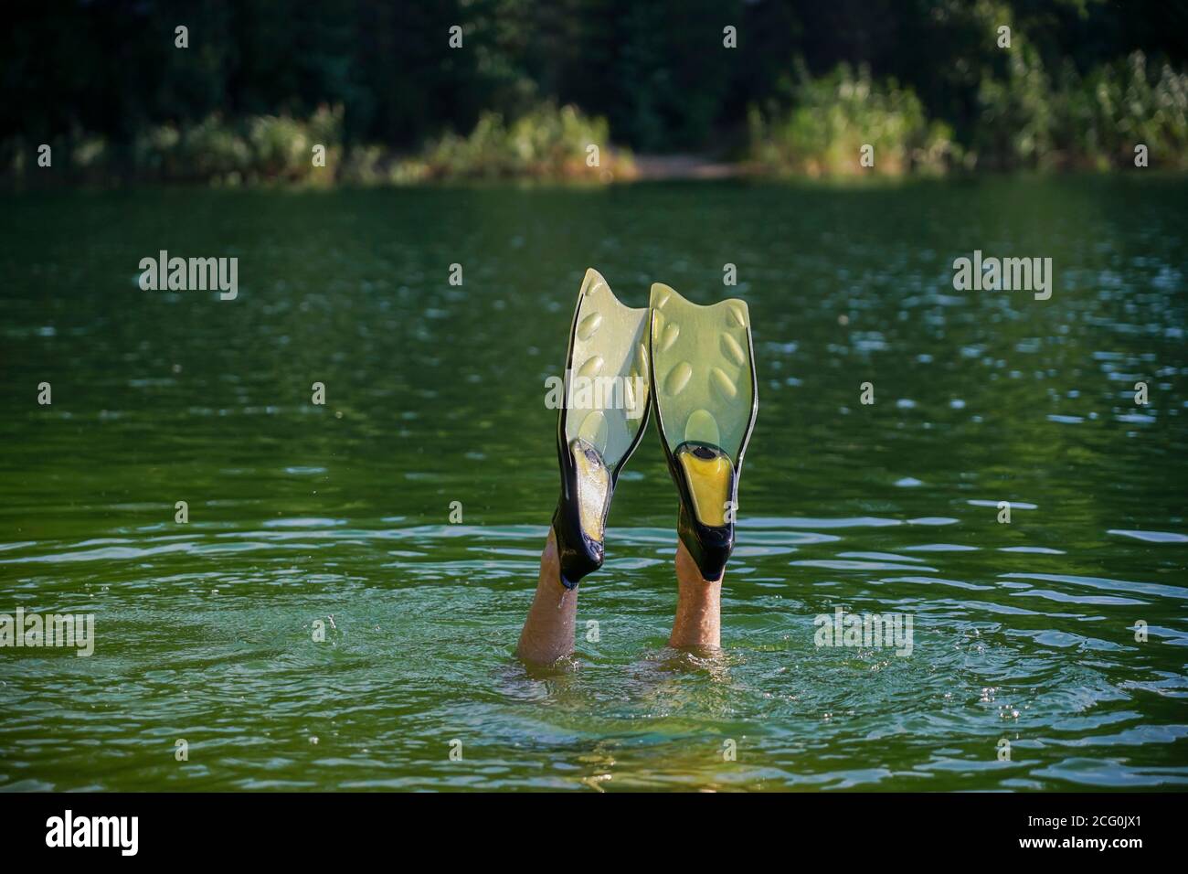 the diver's fins are raised above the water Stock Photo - Alamy