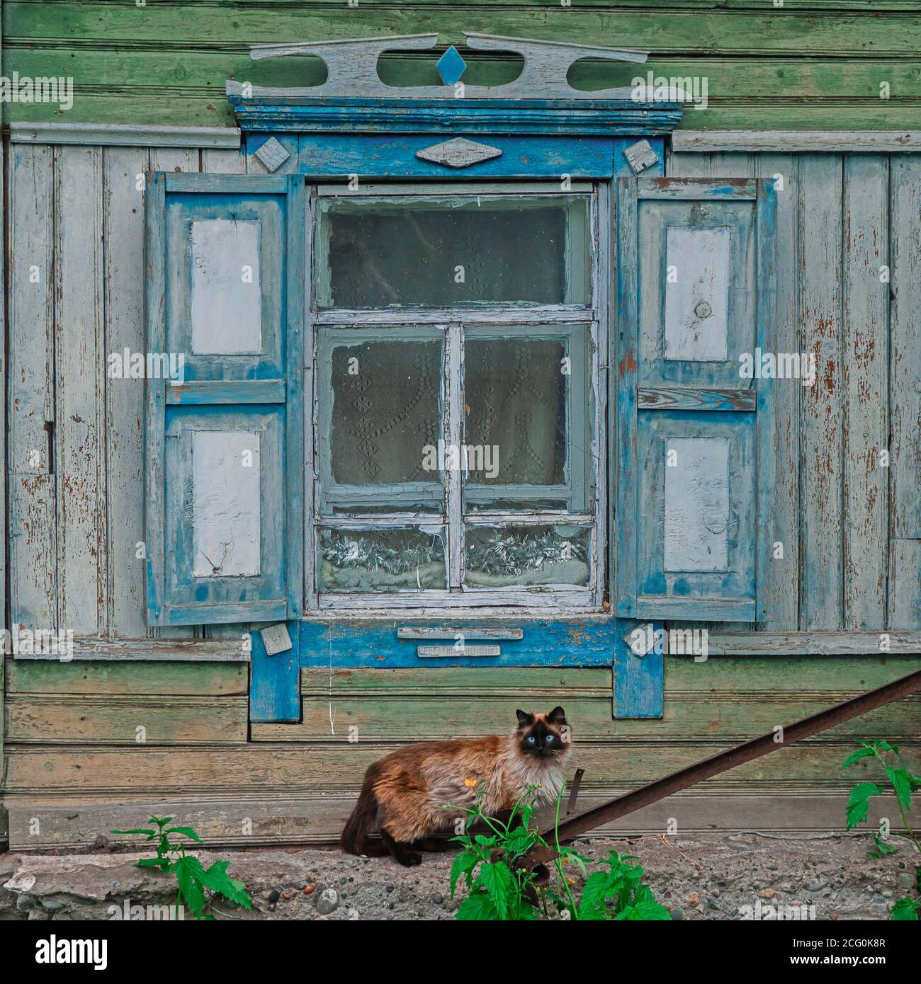 Window in the village house with platbands. Siamese cat under the ...