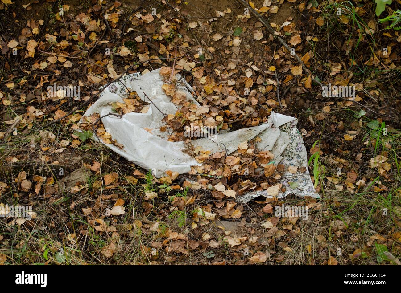 Garbage in the forest. Ecologic problem Stock Photo - Alamy