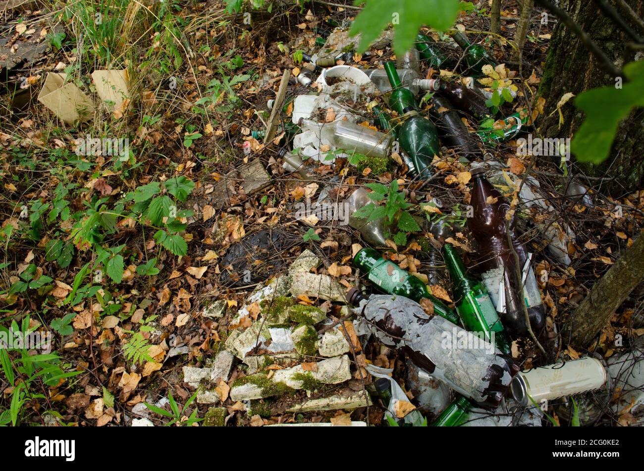 Garbage in the forest. Ecologic problem Stock Photo - Alamy